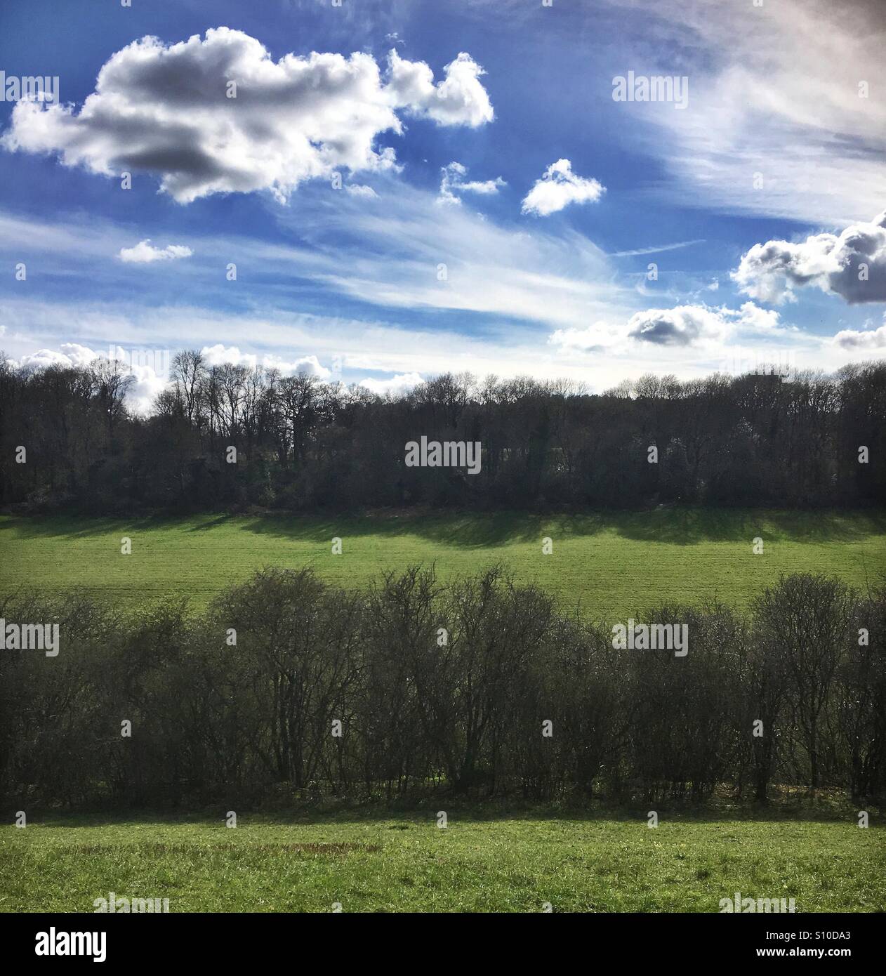 Beautiful surrey countryside hi-res stock photography and images - Alamy