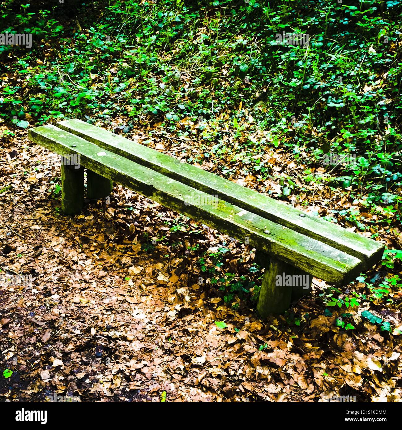 Seating fallen leaves hi-res stock photography and images - Alamy