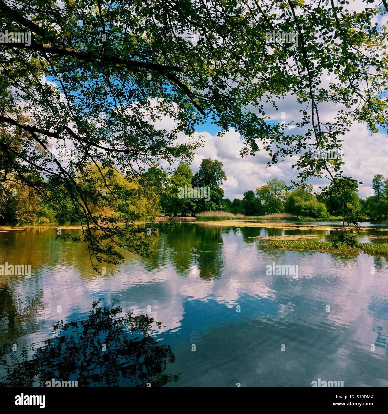 Lake landscape with reflections Stock Photo - Alamy