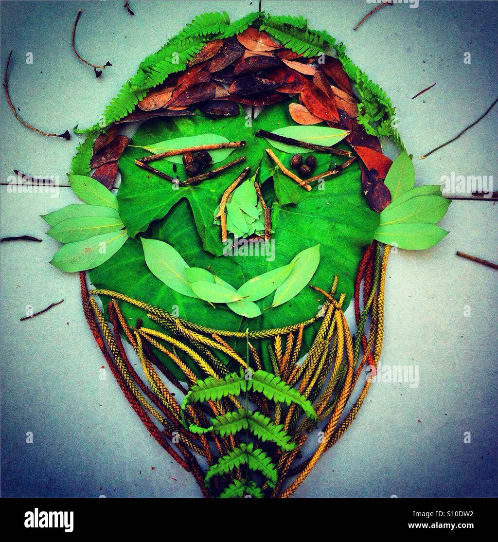 Photo vegetal hi-res stock photography and images - Alamy