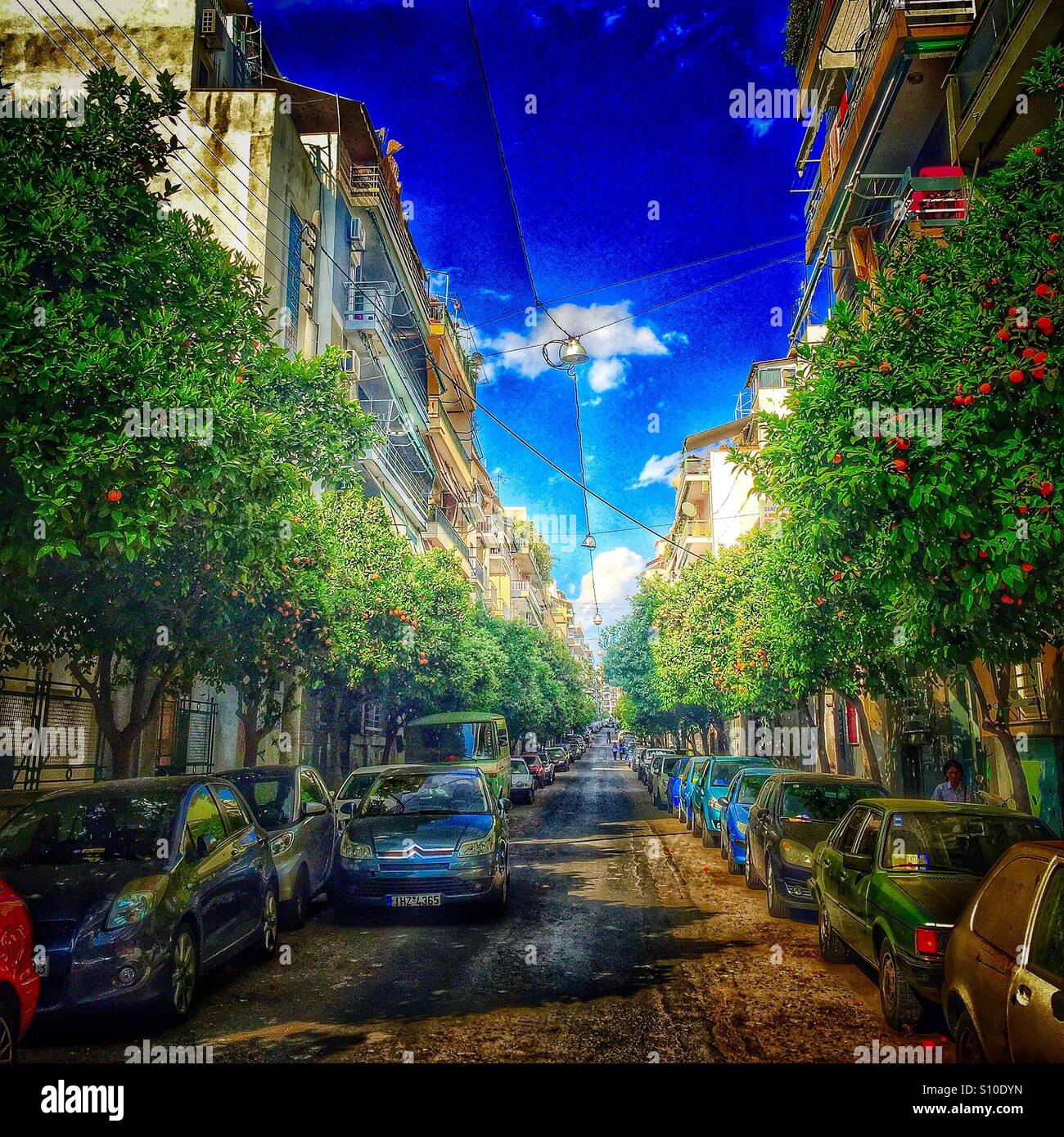 Trees alley tree hi-res stock photography and images - Alamy