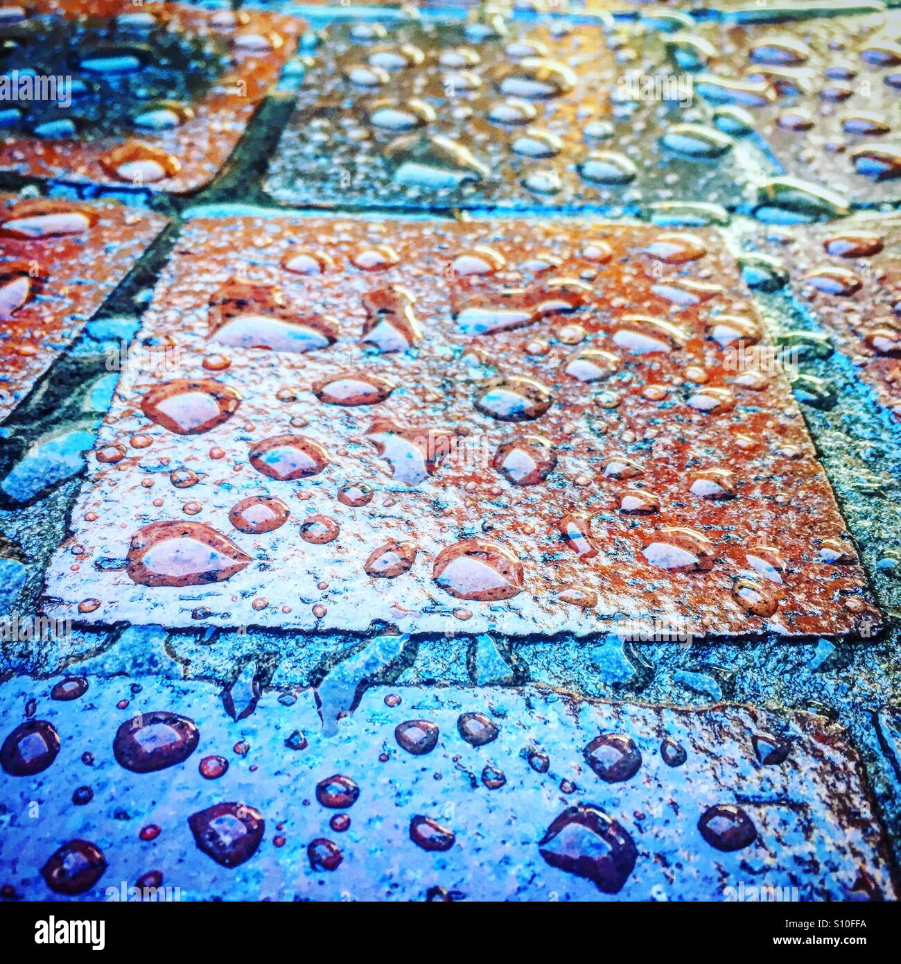 Raindrops on outdoor pavement tiles Stock Photo - Alamy