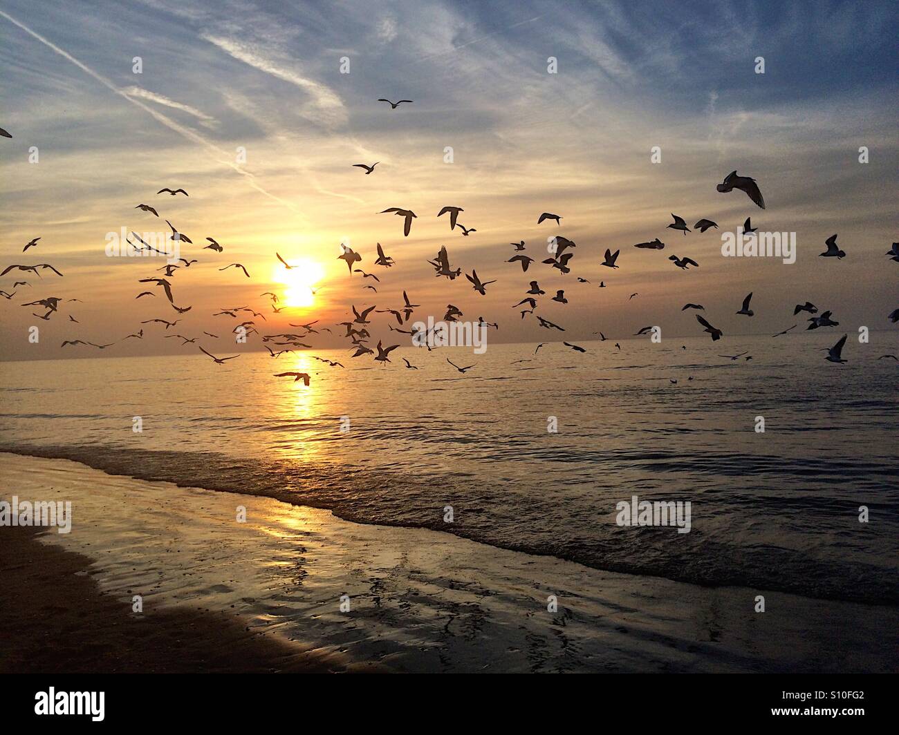 Birds over ocean hi-res stock photography and images - Alamy