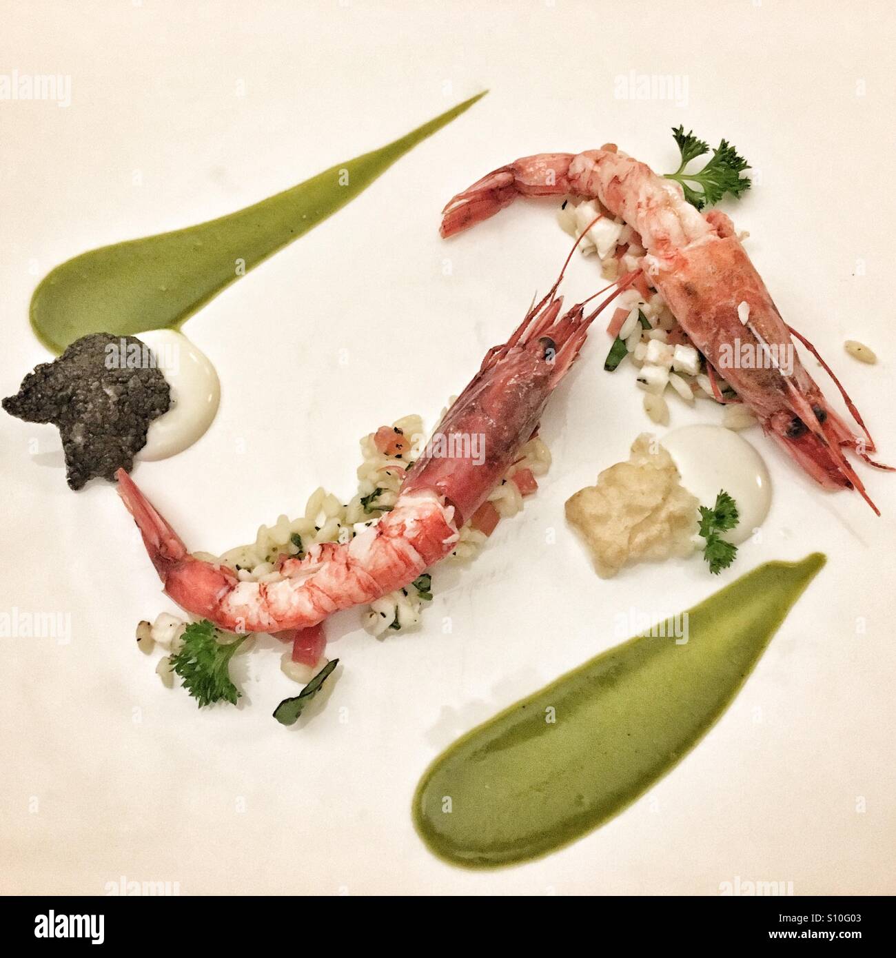 Fine dining fish of prawns Stock Photo - Alamy