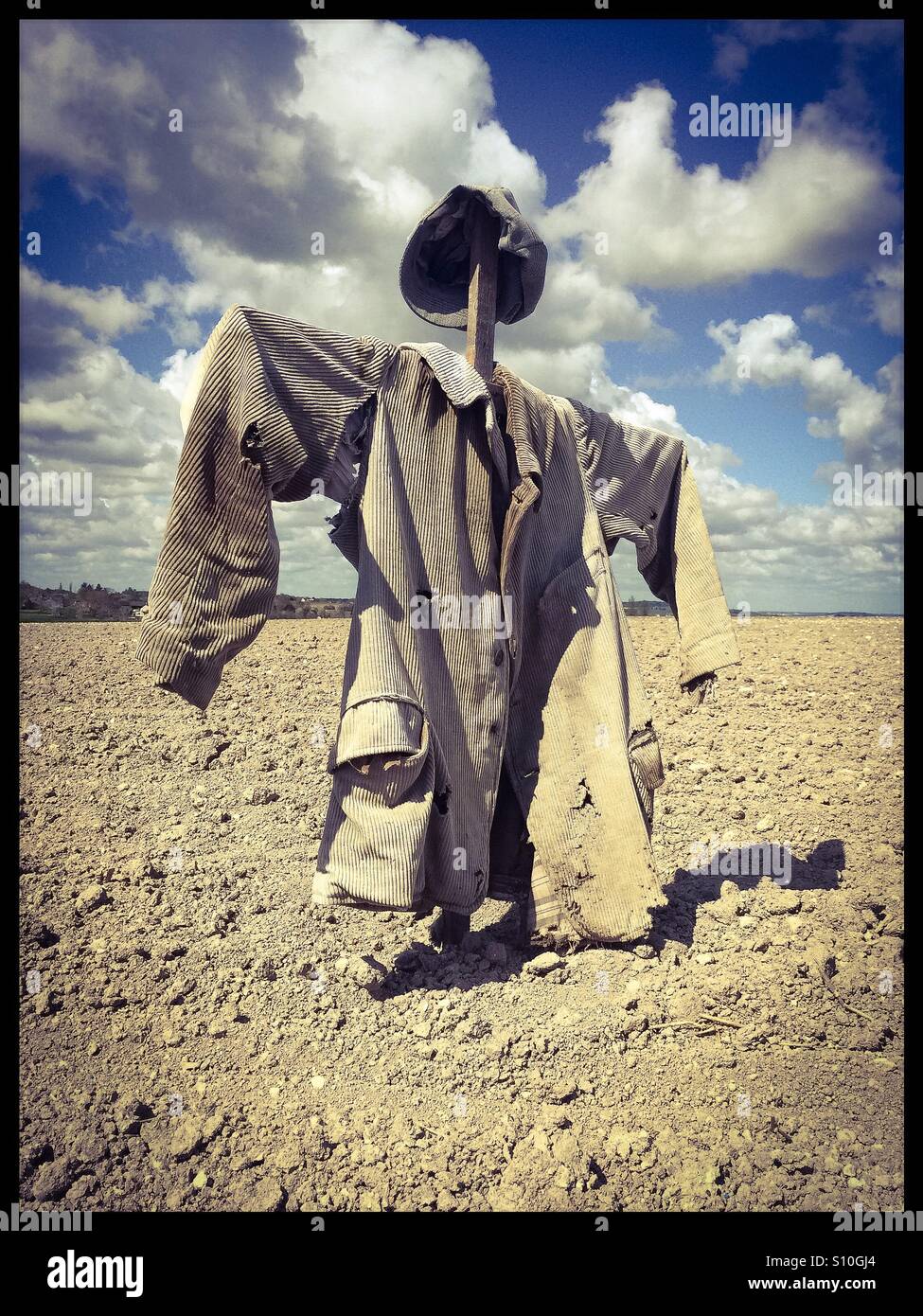 Scarecrow bird hi-res stock photography and images - Alamy