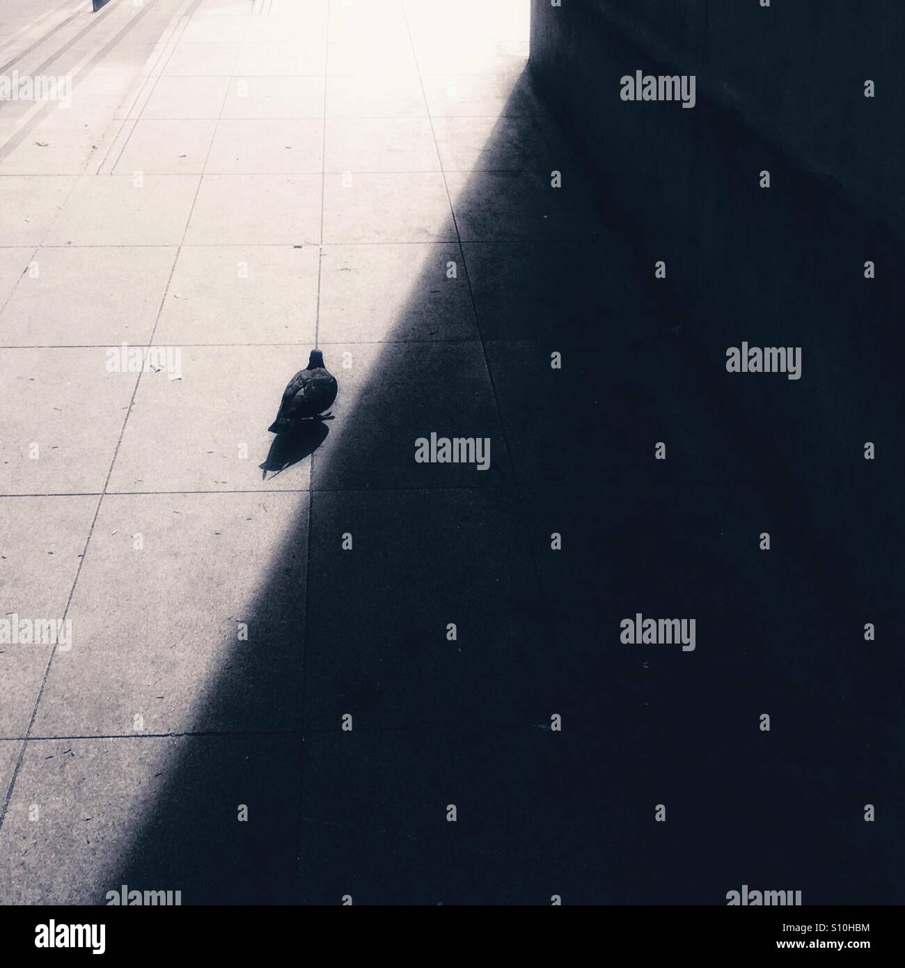 The two sides of life Stock Photo - Alamy