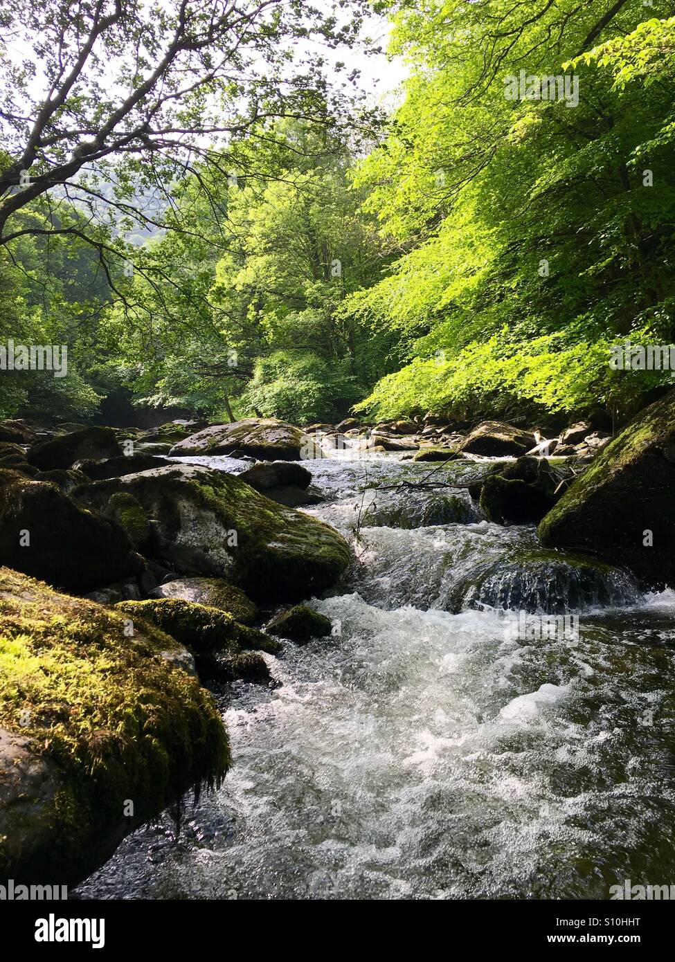 The east lyn river hi-res stock photography and images - Alamy