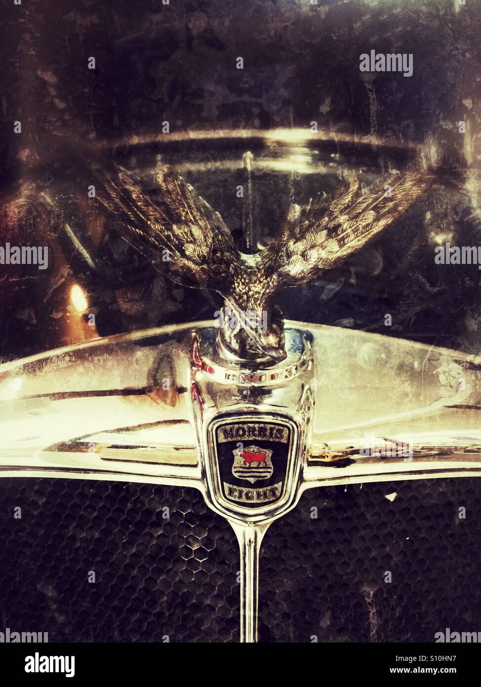 Morris mascot hi-res stock photography and images - Alamy