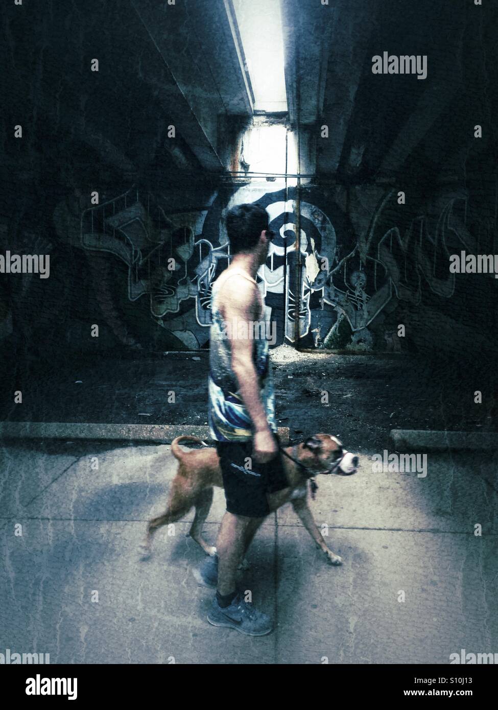 Dog under bridge hi-res stock photography and images - Alamy