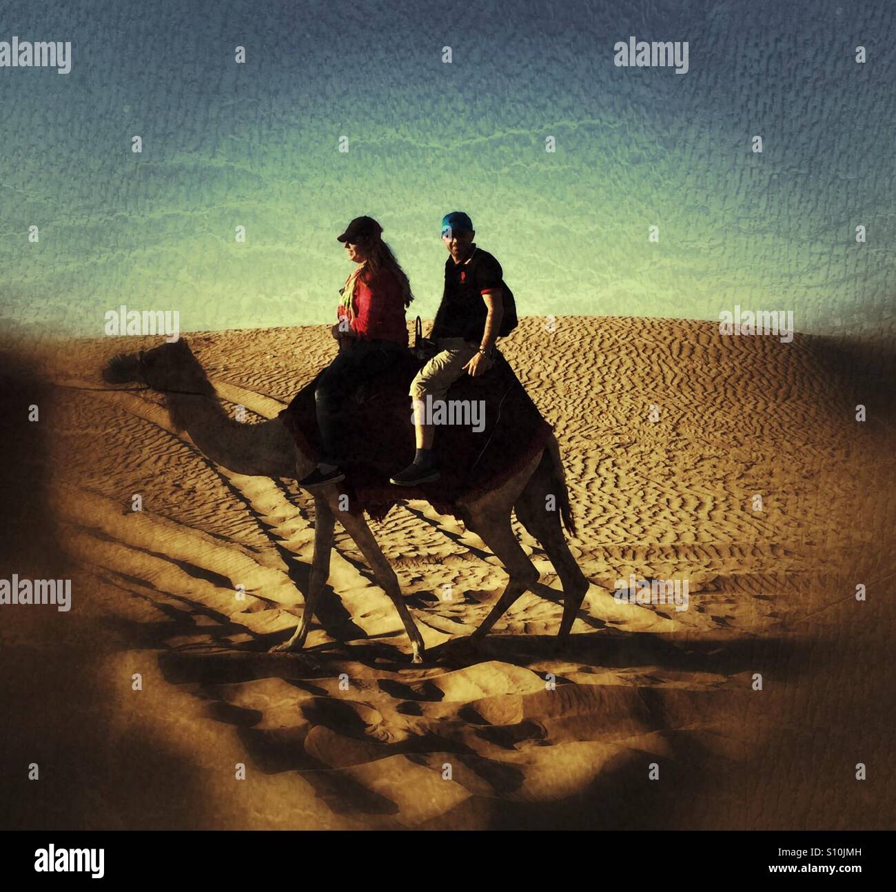 Husband and wife riding Camel in Dubai desert - Safari Stock Photo - Alamy