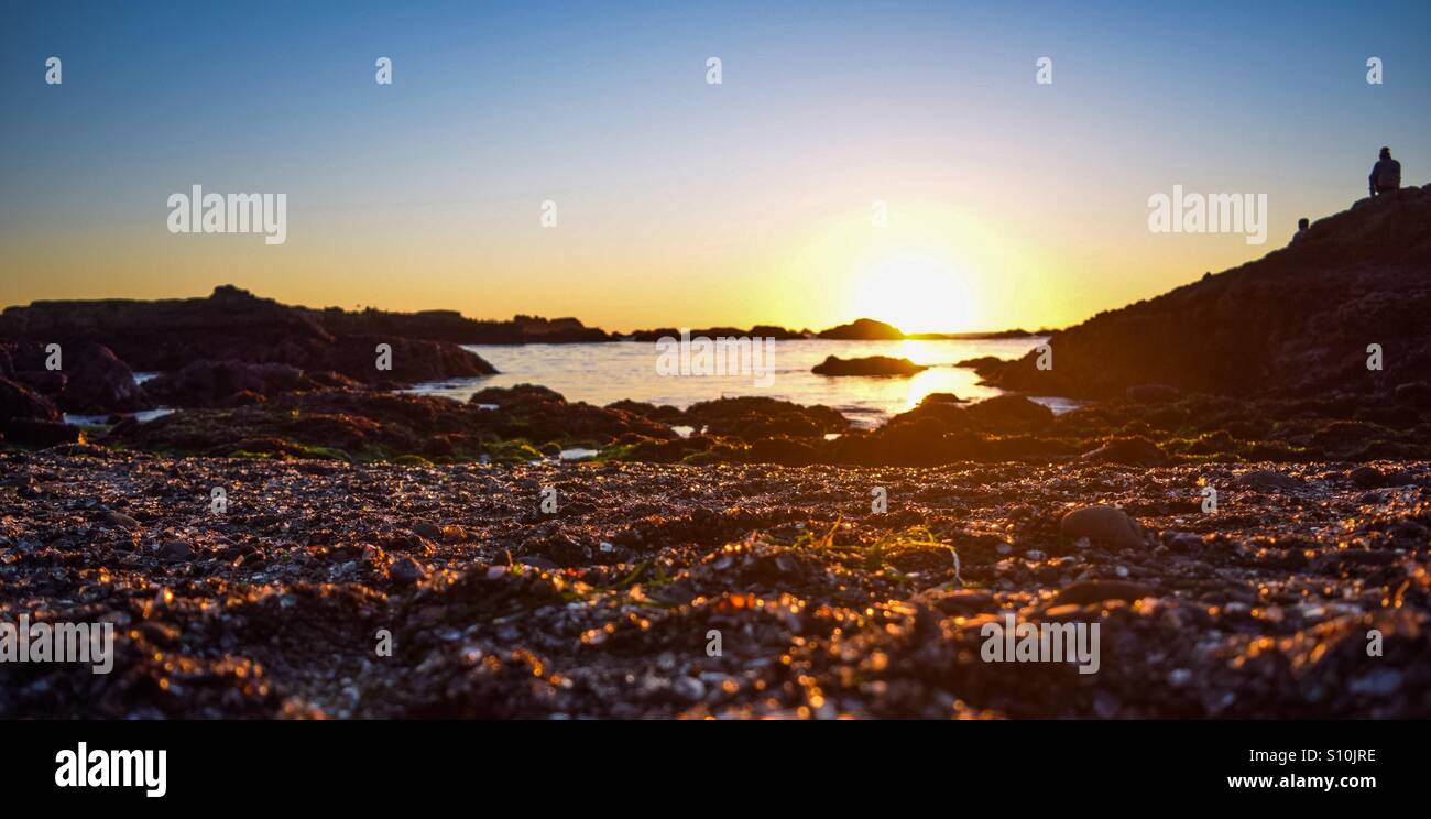 Fort bragg glass beach hi-res stock photography and images - Alamy