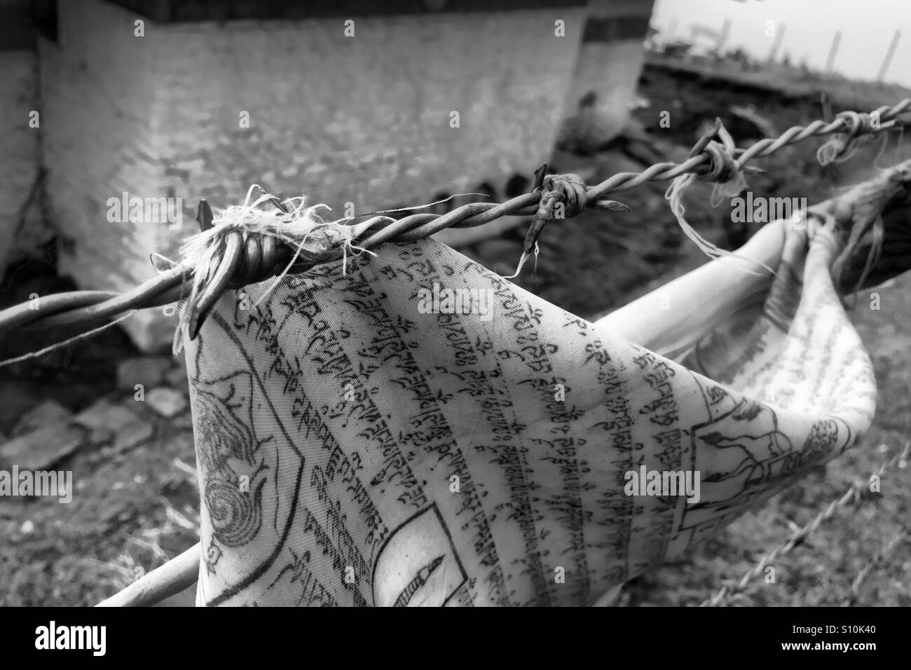 Phajoding monastery hi-res stock photography and images - Alamy