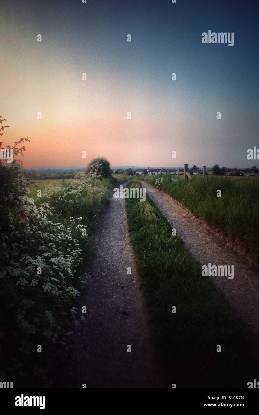 Dark country lane hi-res stock photography and images - Alamy