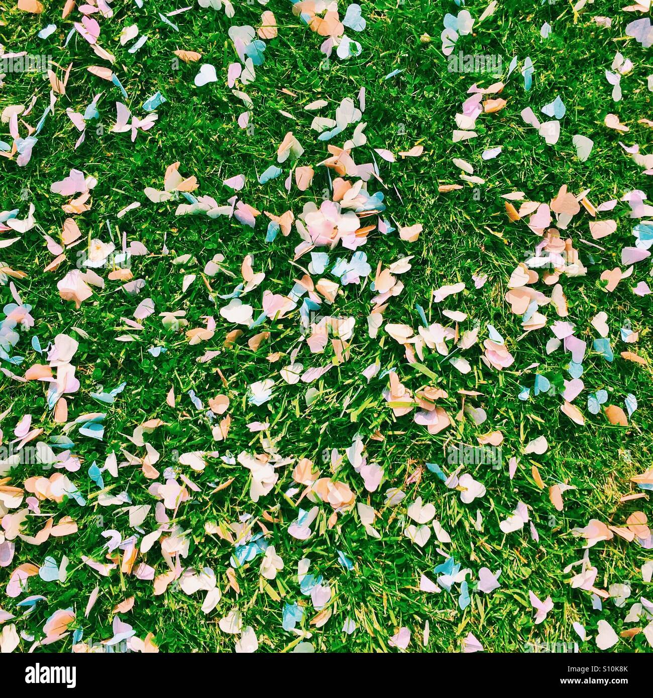 Wedding confetti on the grass Stock Photo - Alamy