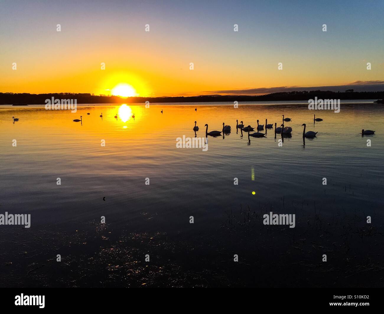 Loch skene lake hi-res stock photography and images - Alamy