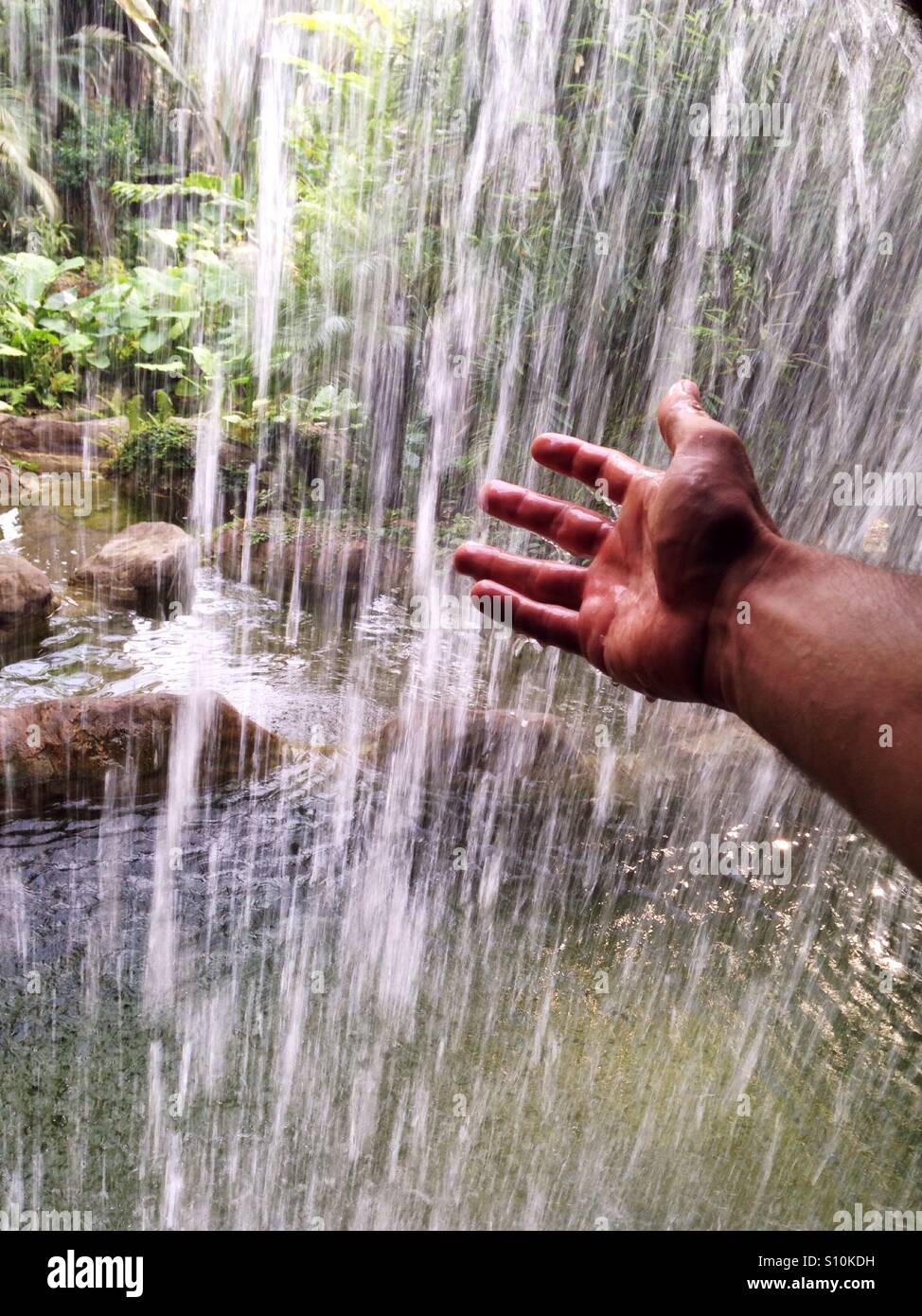 Survival drinking water jungle hi-res stock photography and images - Alamy