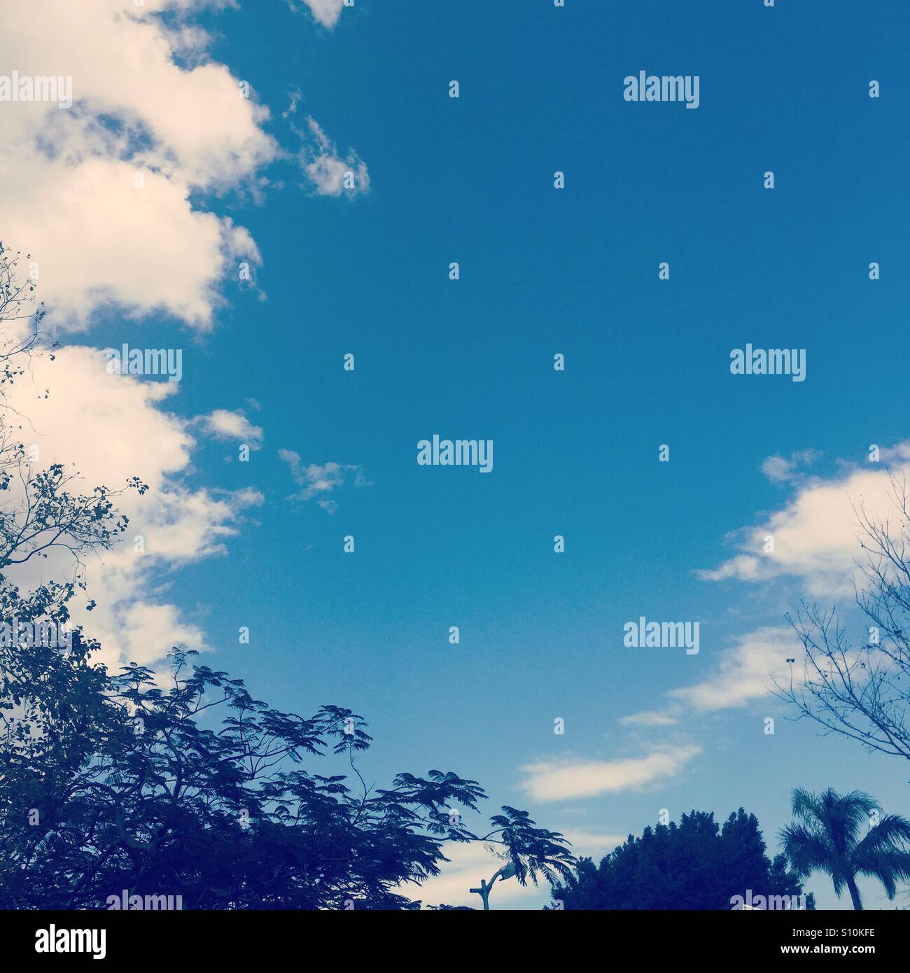 Silent spring hi-res stock photography and images - Alamy