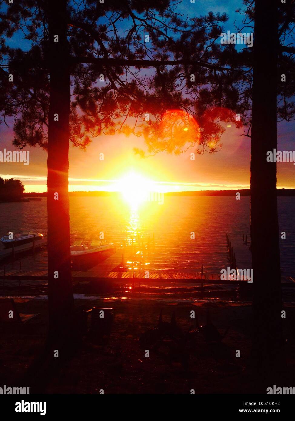 The sun trees hi-res stock photography and images - Alamy