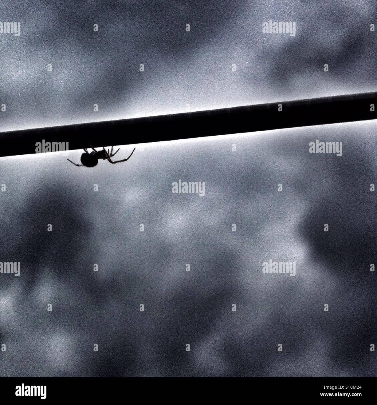 Tiny spider on a washing line Stock Photo - Alamy