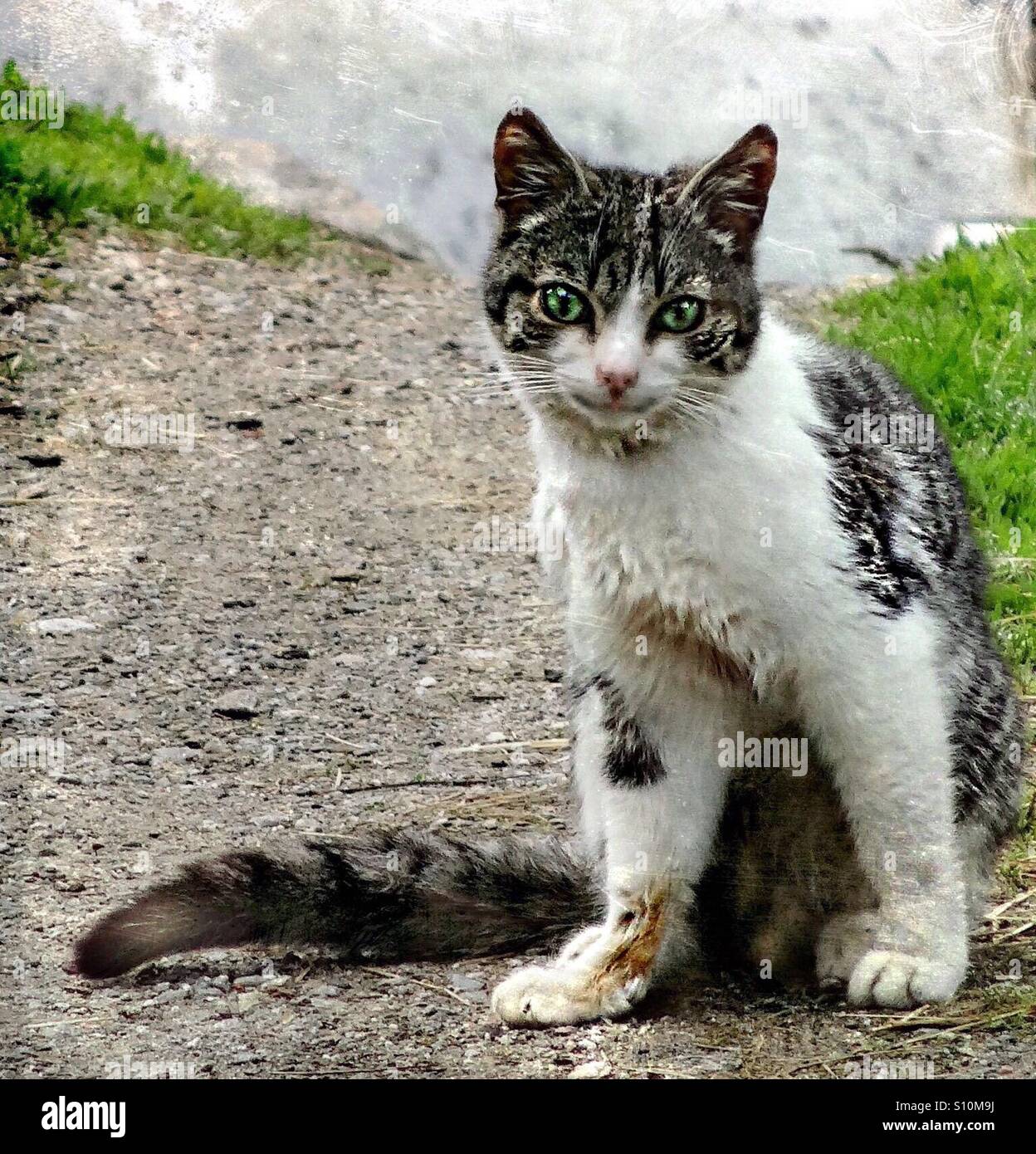 shy..?! Yes... sometimes...! Stock Photo - Alamy