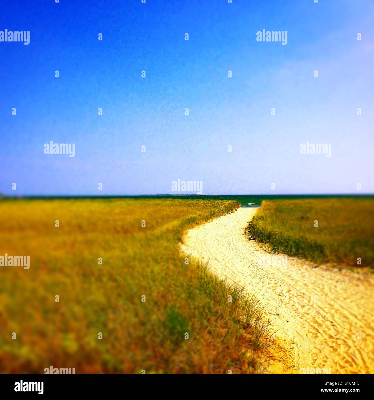 Follow the path Stock Photo - Alamy