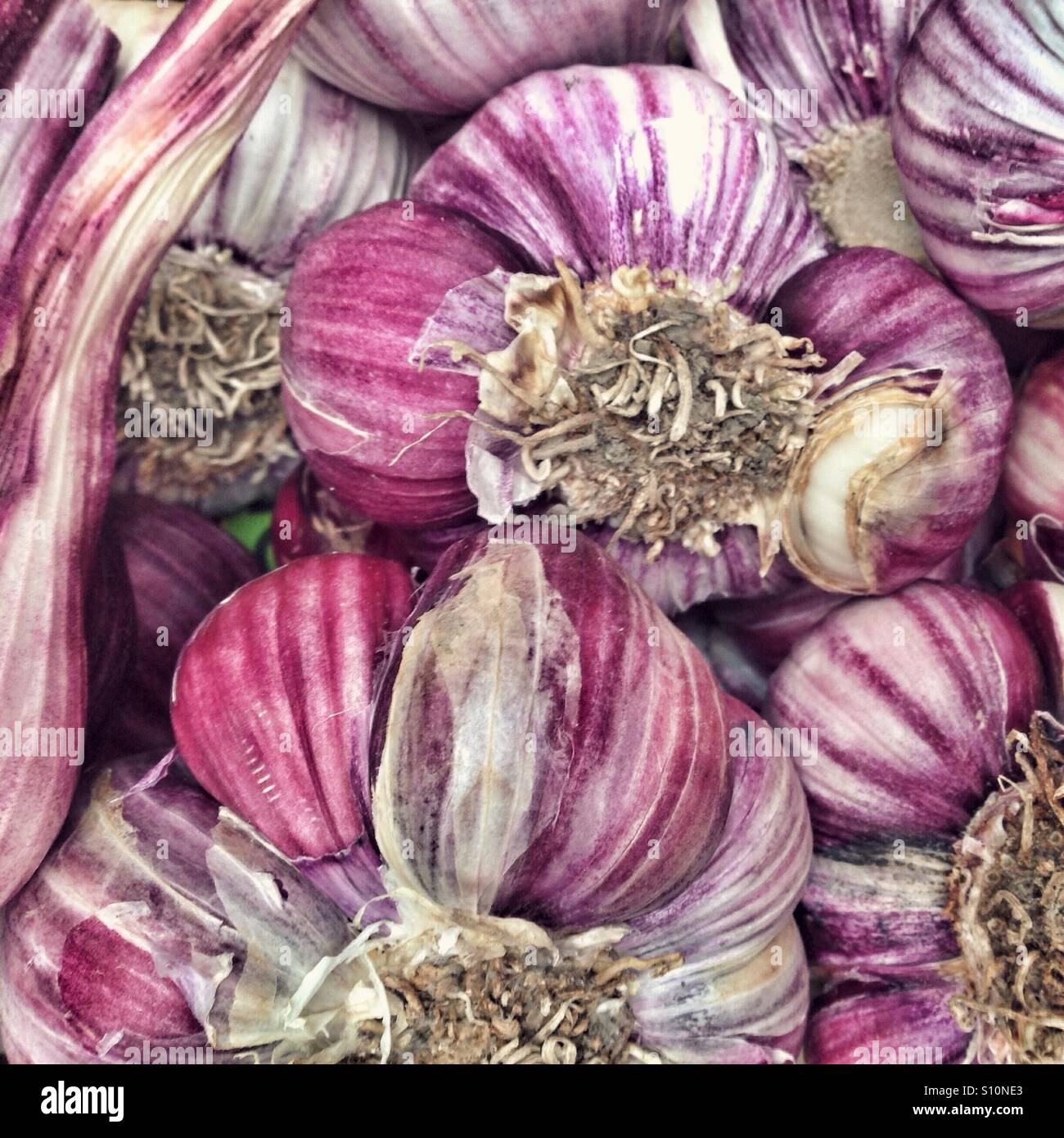 Cooking fresh vegetable close up smartphone stock photos and images - Alamy