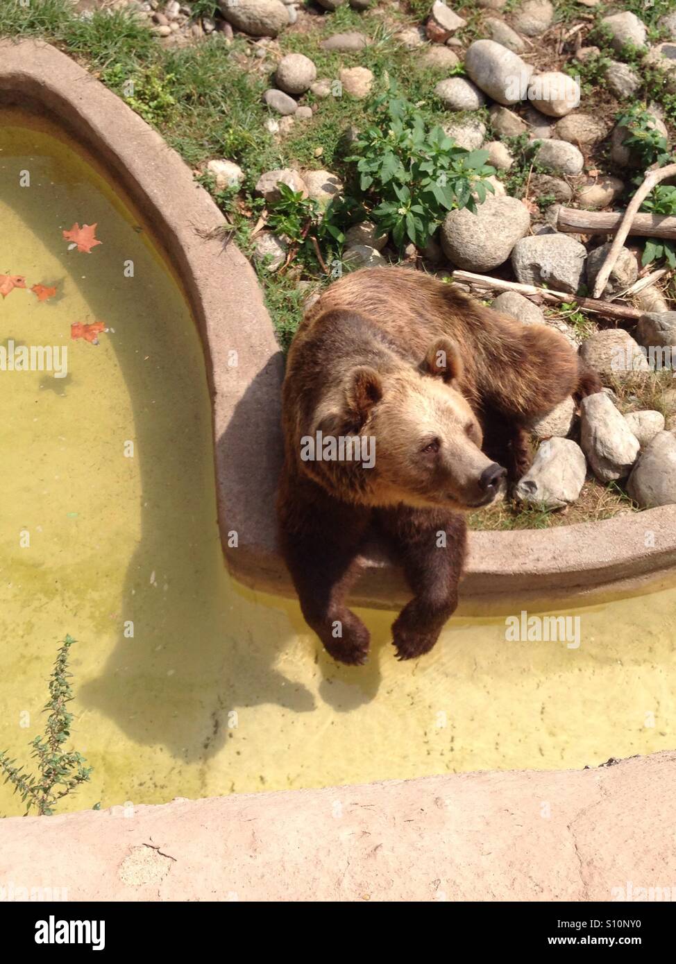 Caged rocks hi-res stock photography and images - Alamy