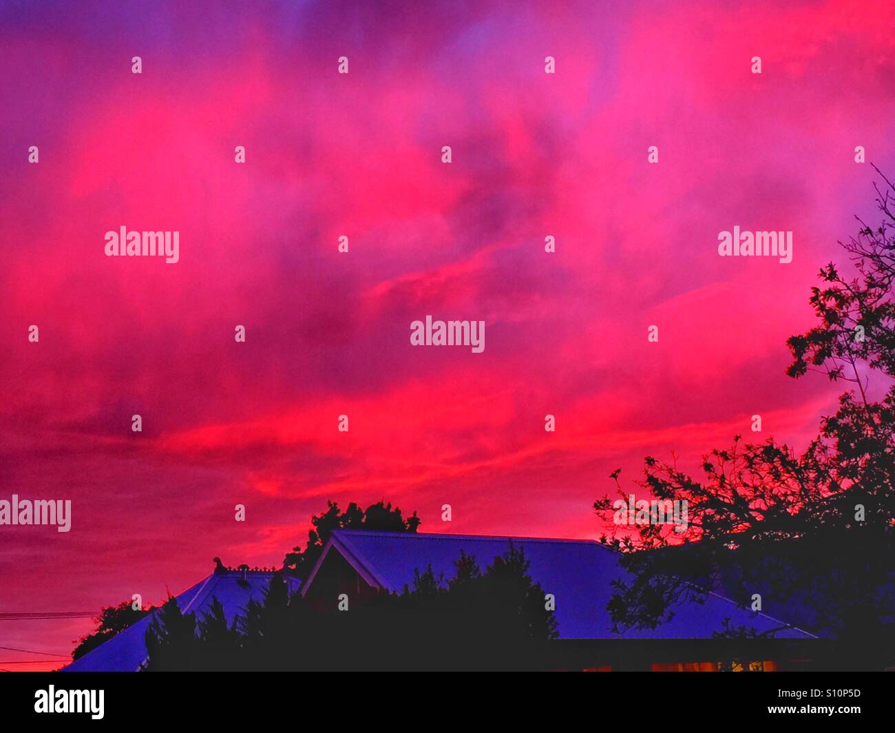 Melbourne backyard hi-res stock photography and images - Alamy