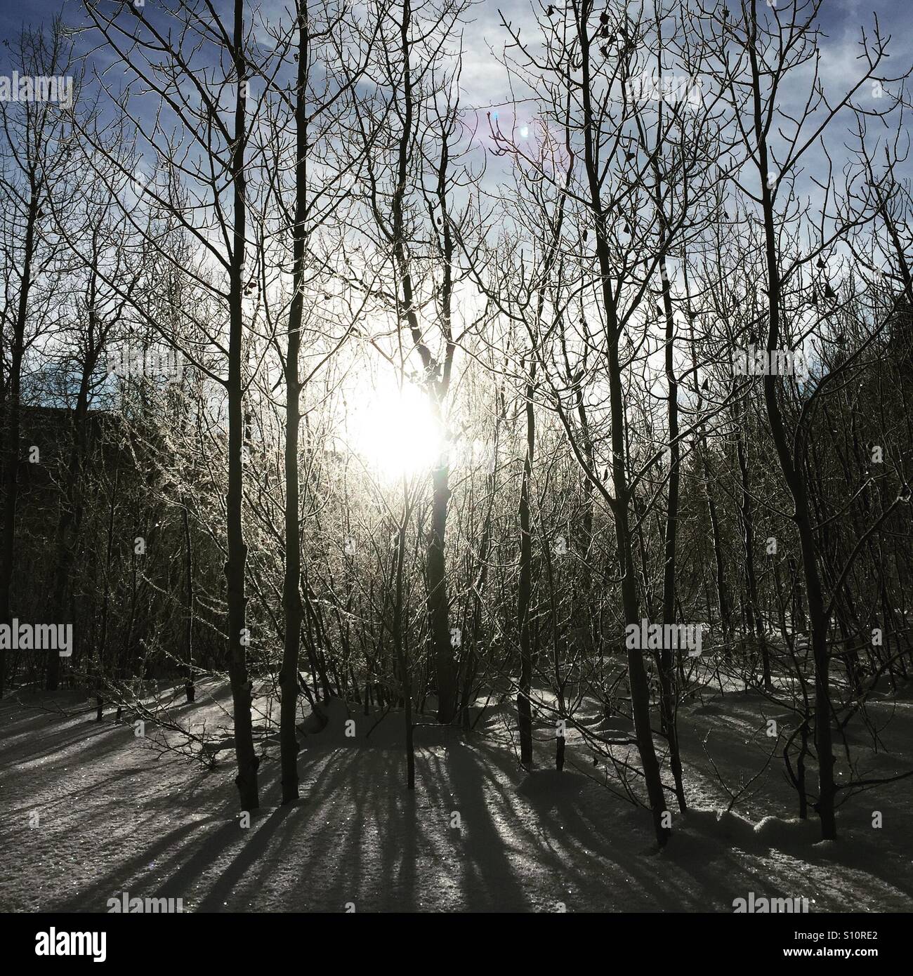 Quiet walk hi-res stock photography and images - Alamy