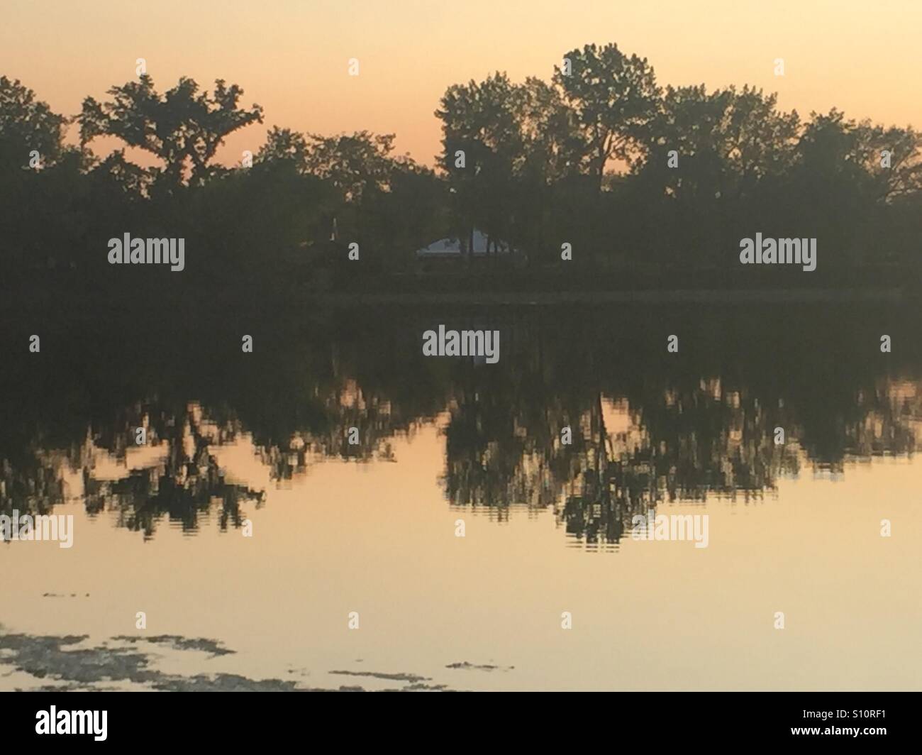 Trees with shadow hi-res stock photography and images - Alamy