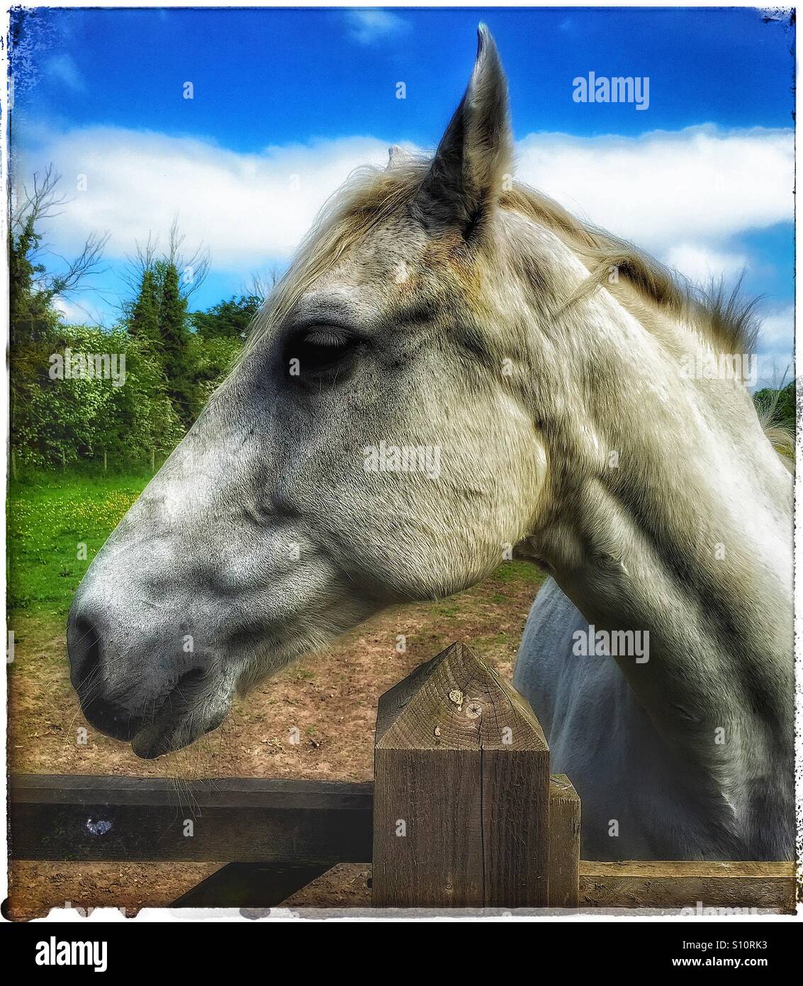 Mare gate hi-res stock photography and images - Alamy