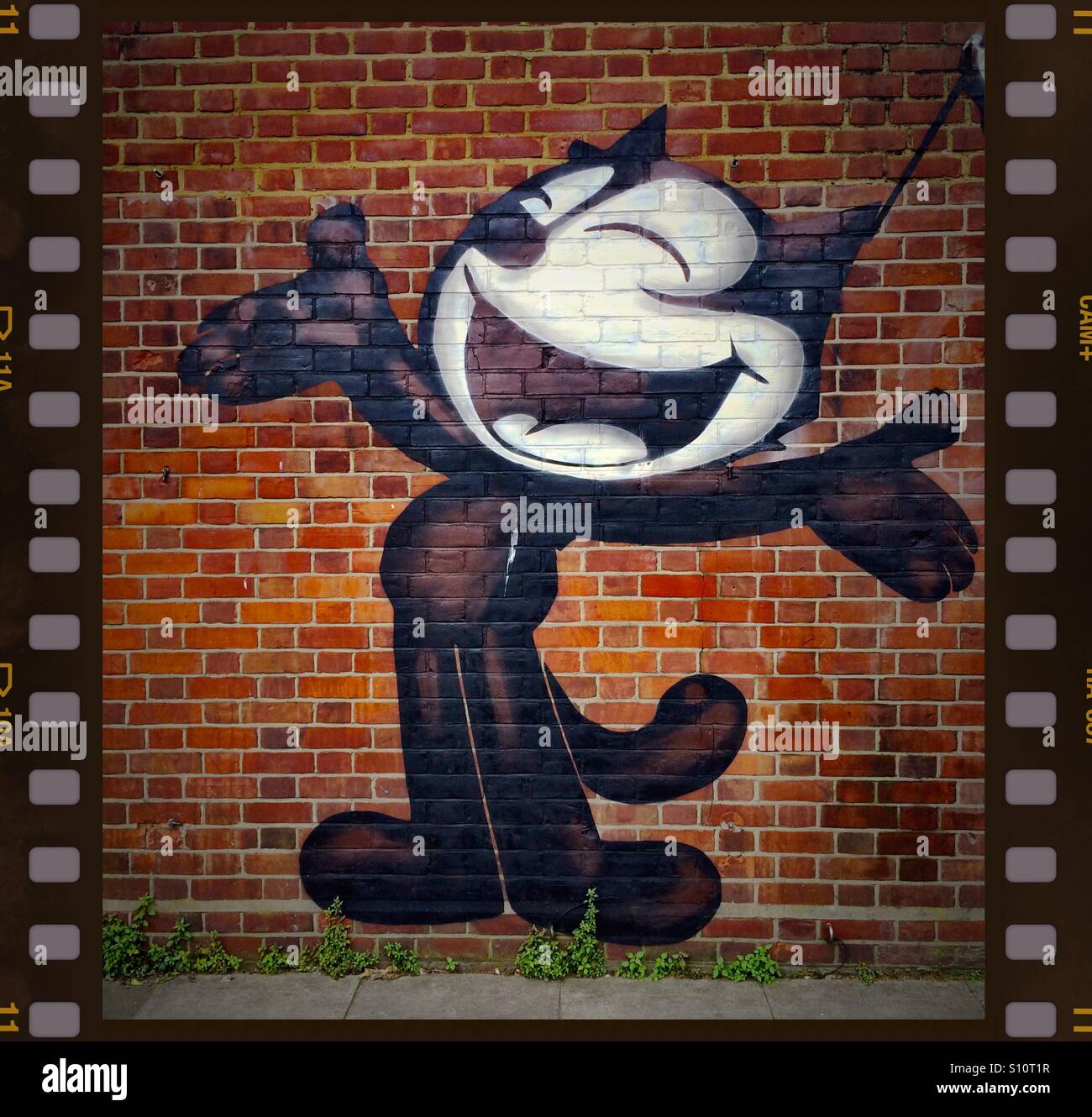 El Gato Felix Cartoon