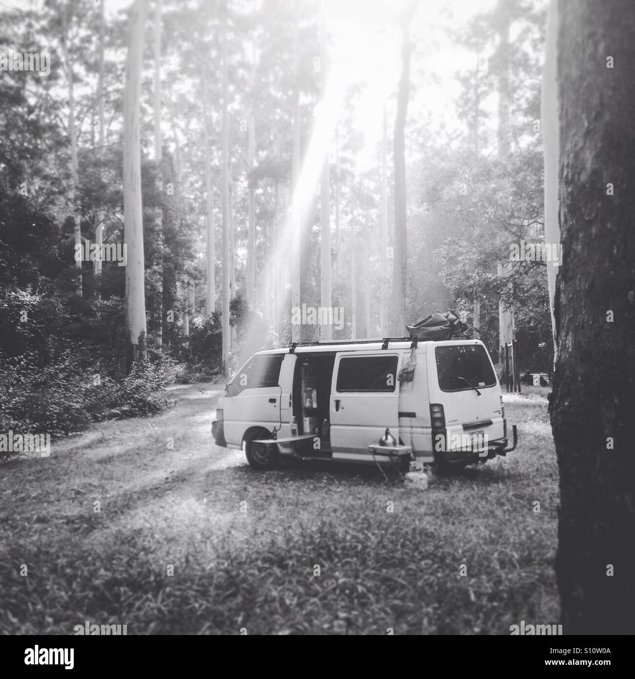 Camper van in forest Stock Photo - Alamy