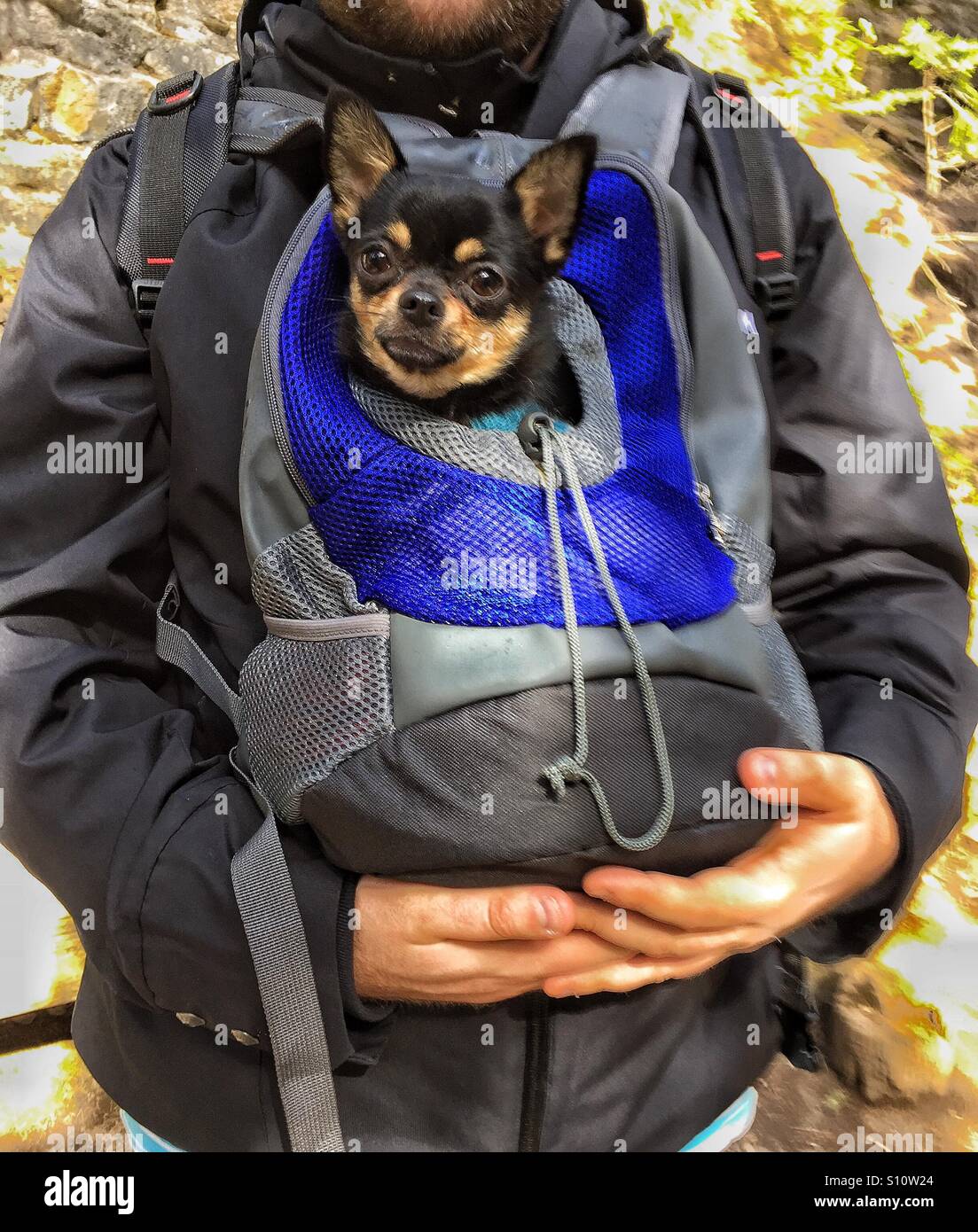 Man and his dog Stock Photo - Alamy