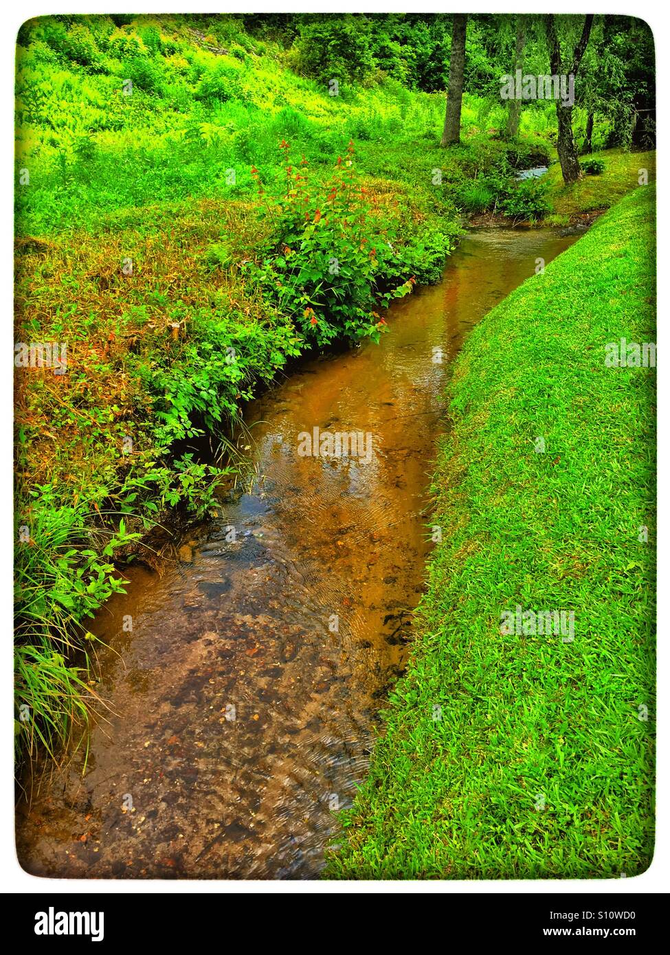 Roadside stream and lush grass Stock Photo - Alamy