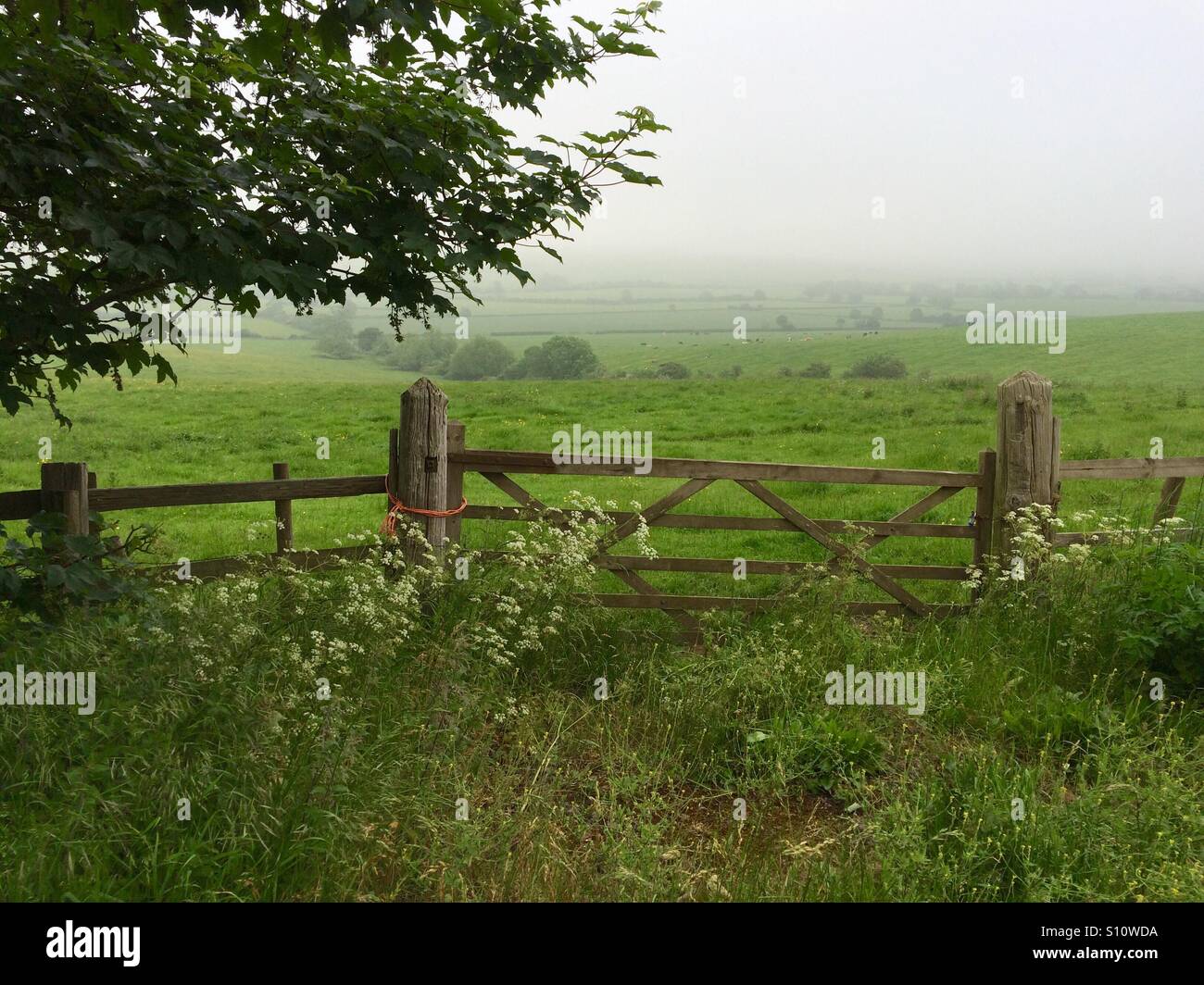 Gate view hi-res stock photography and images - Alamy