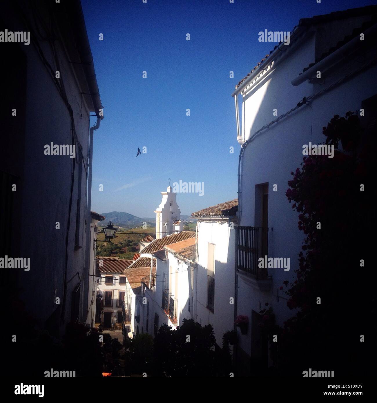 El gastor hi-res stock photography and images - Alamy