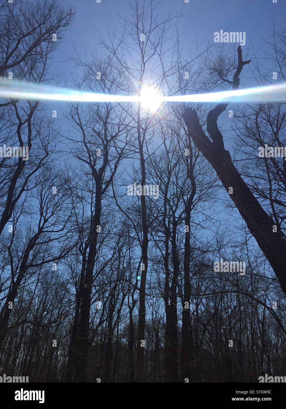 Divine light hi-res stock photography and images - Alamy