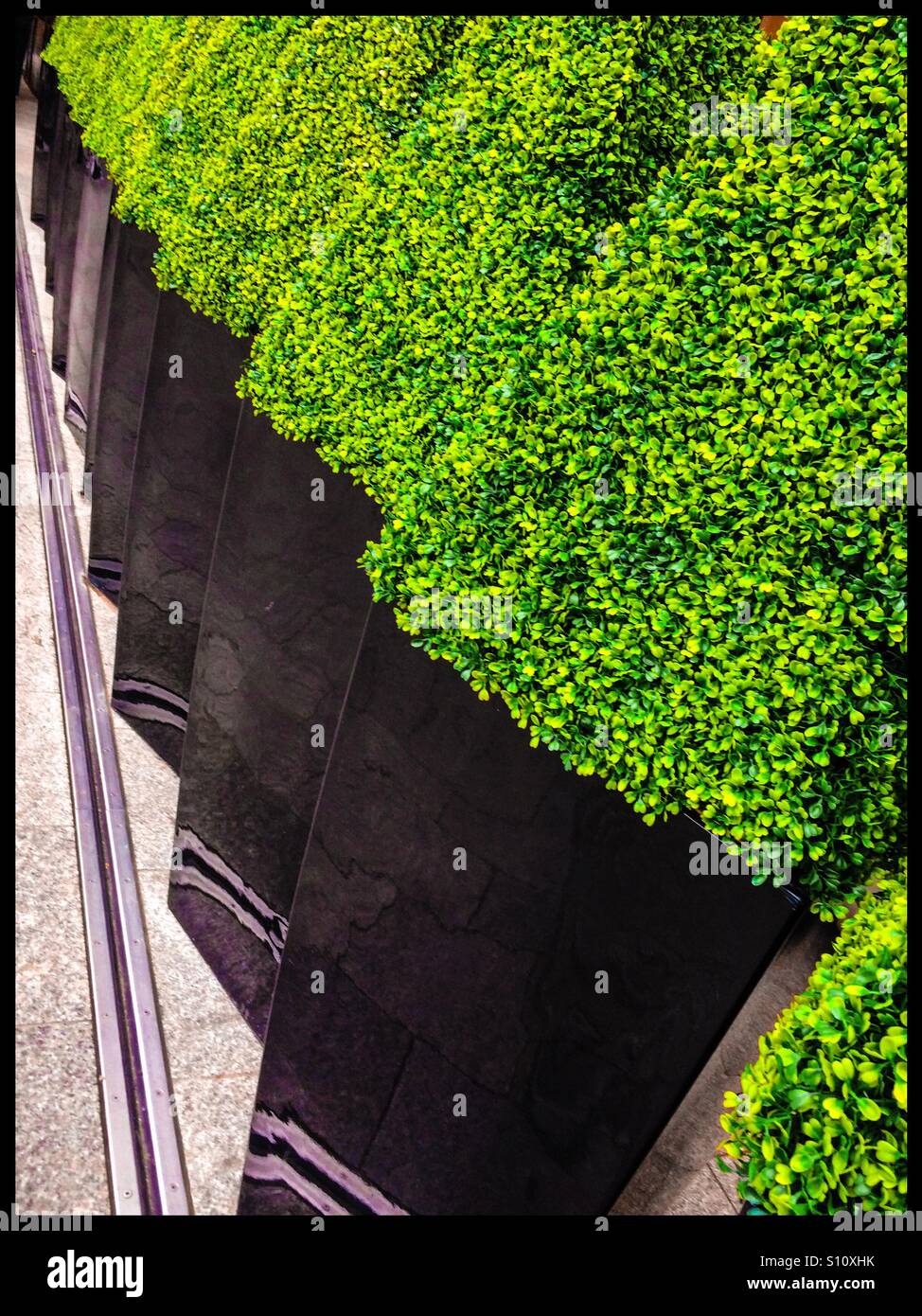 Trees in pots hi-res stock photography and images - Alamy