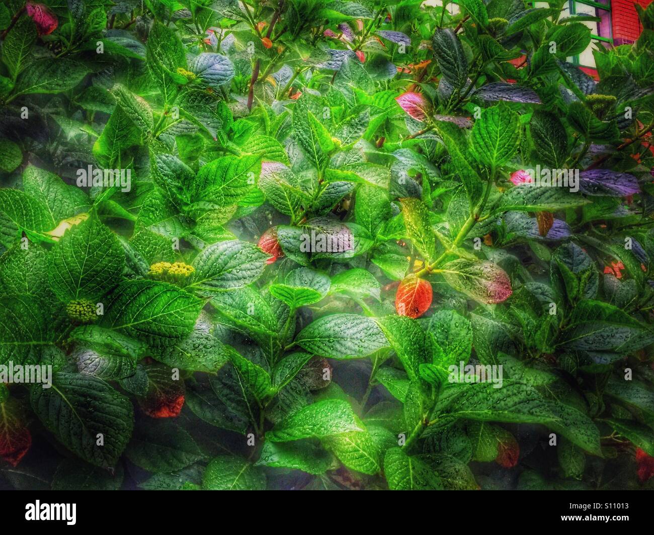 Dream dreamy hi-res stock photography and images - Alamy