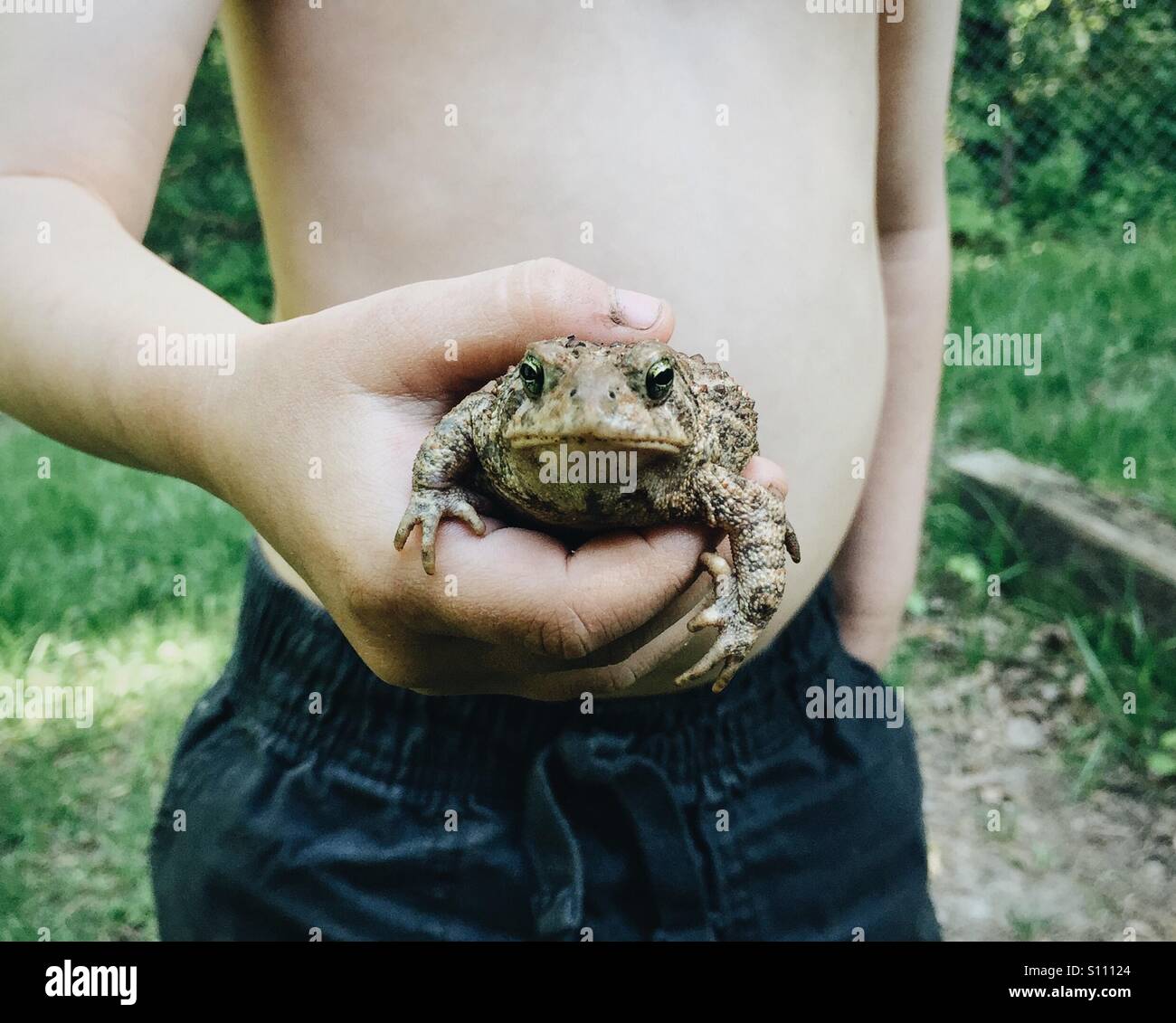 Child holding a hi-res stock photography and images - Alamy