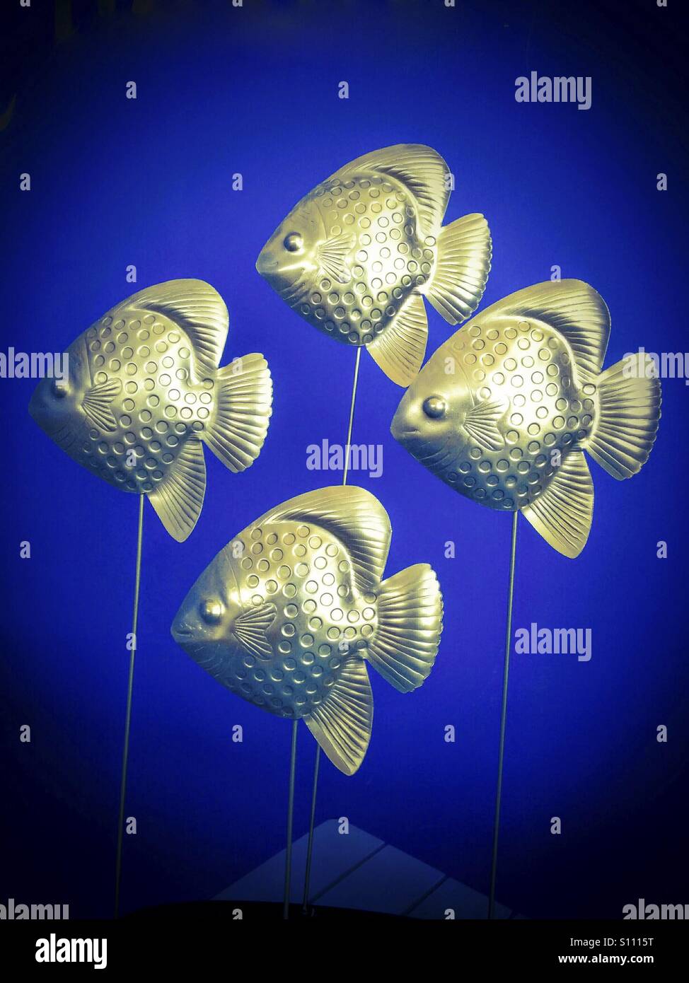 Decorative fish hi-res stock photography and images - Alamy