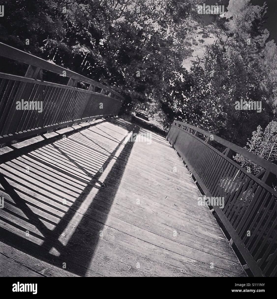 Woods perspective hi-res stock photography and images - Alamy