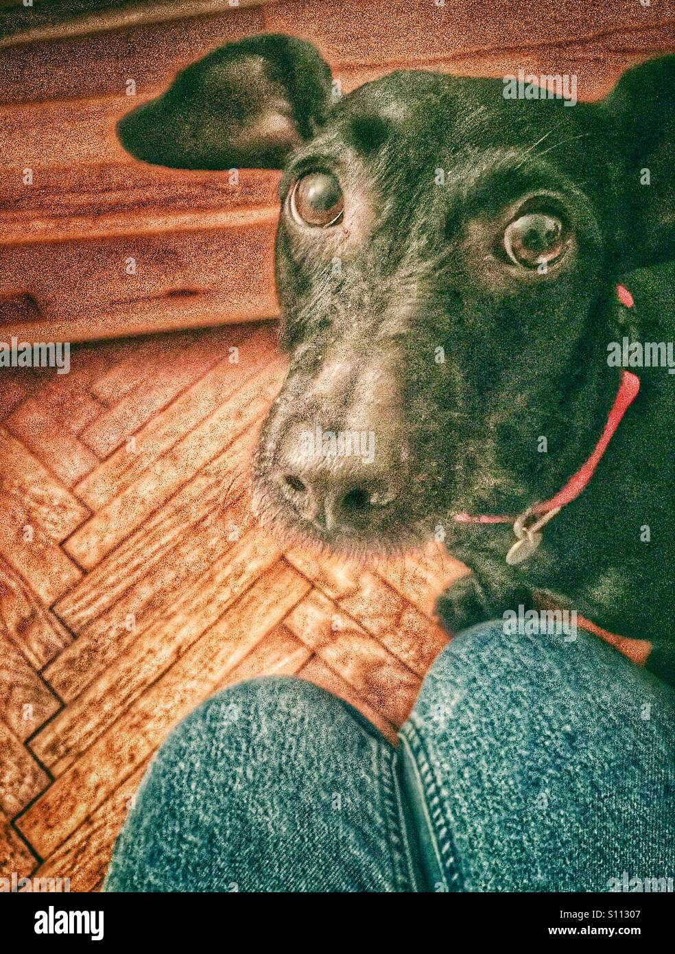 Understanding eyes hi-res stock photography and images - Alamy