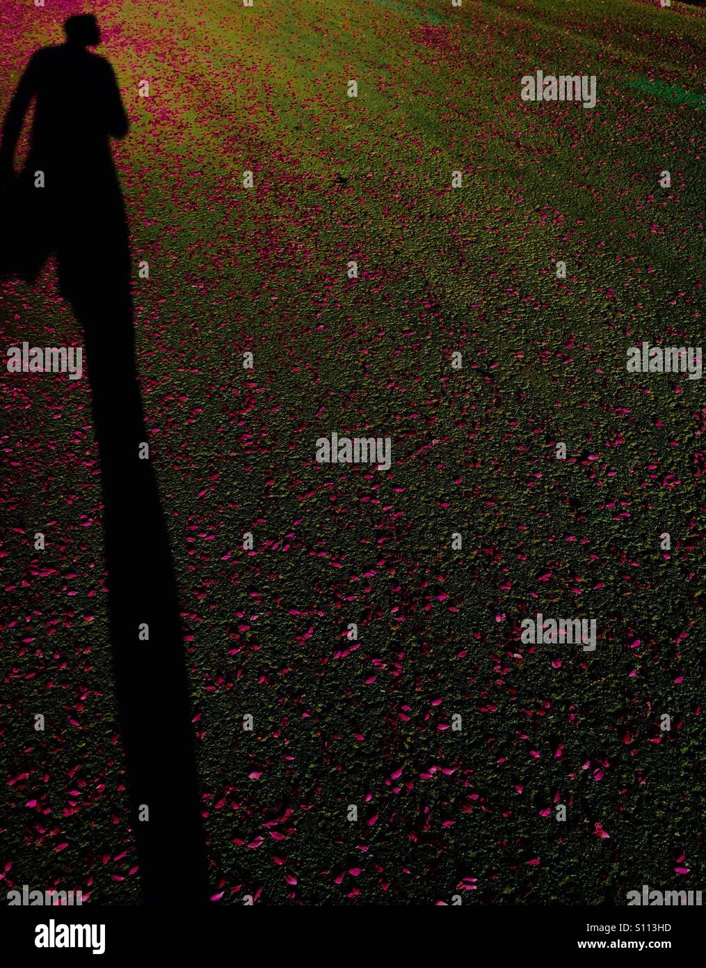 Black shadow man hi-res stock photography and images - Alamy