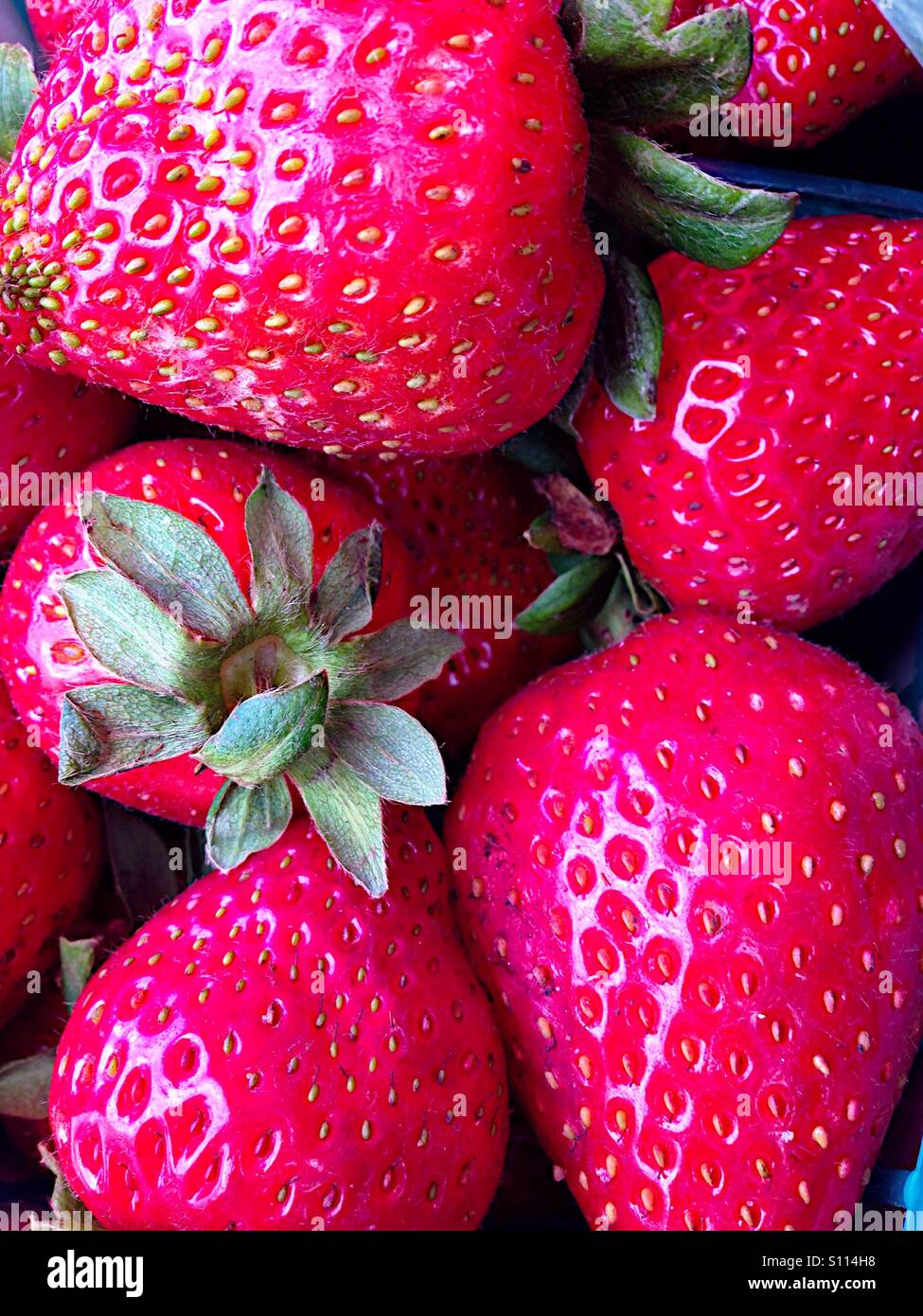 Close up organic fresh strawberries hi-res stock photography and images ...