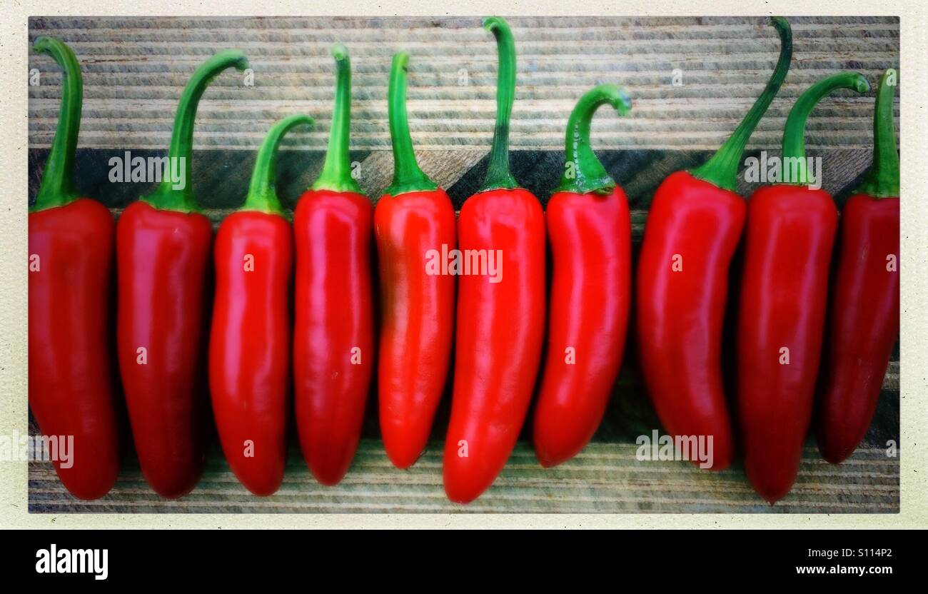 Red Serrano chile peppers - lined up in a row Stock Photo - Alamy