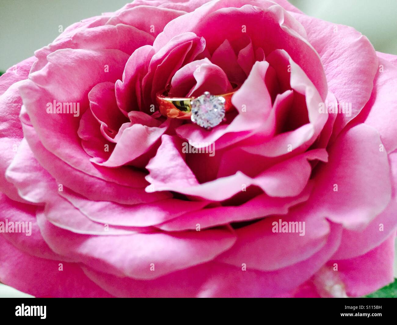 Proposal flower hi-res stock photography and images - Alamy