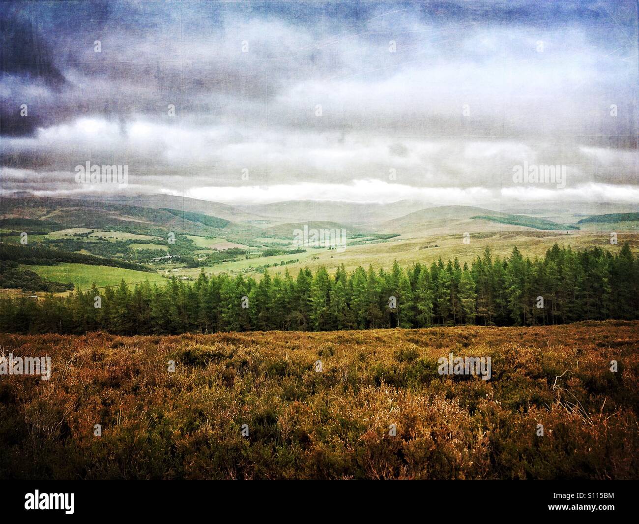 Moray estate hi-res stock photography and images - Alamy