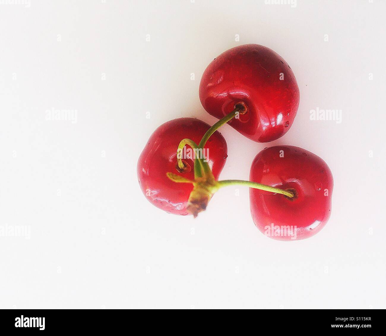 Three cherries connected by their stems on a white background ...